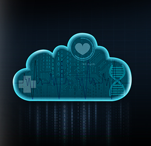 CBaR – BridgeHead Software