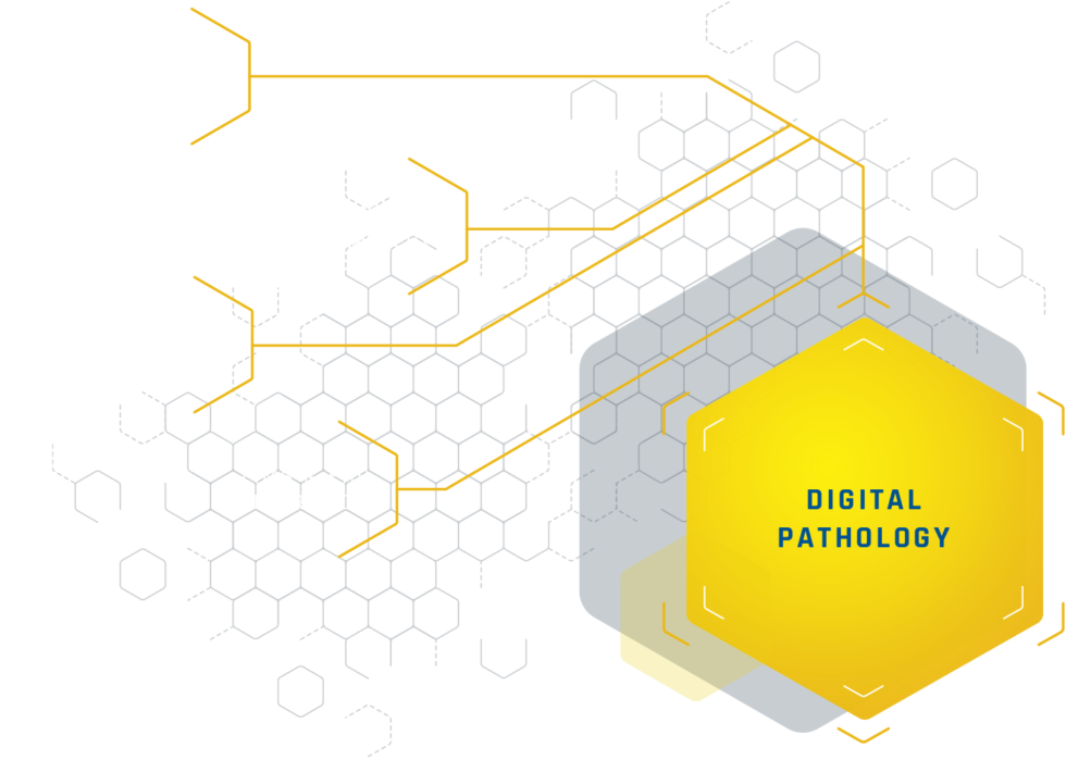 Digital Pathology – BridgeHead Software